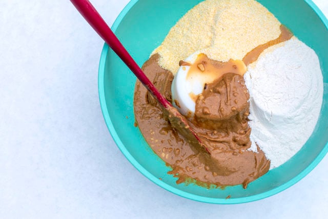 4 Ingredient DIY Suet Cakes Backyard Birds Will Love