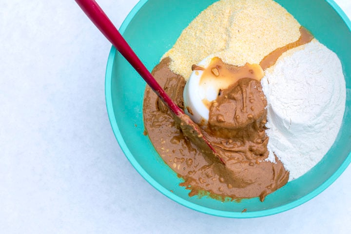 4 Ingredient DIY Suet Cakes Backyard Birds Will Love