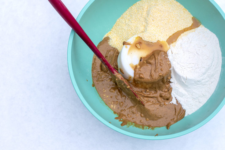 4 Ingredient DIY Suet Cakes Backyard Birds Will Love