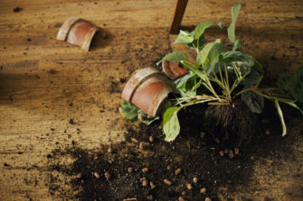 10 Brilliant & Practical Ways to Reuse Broken Terracotta Pots