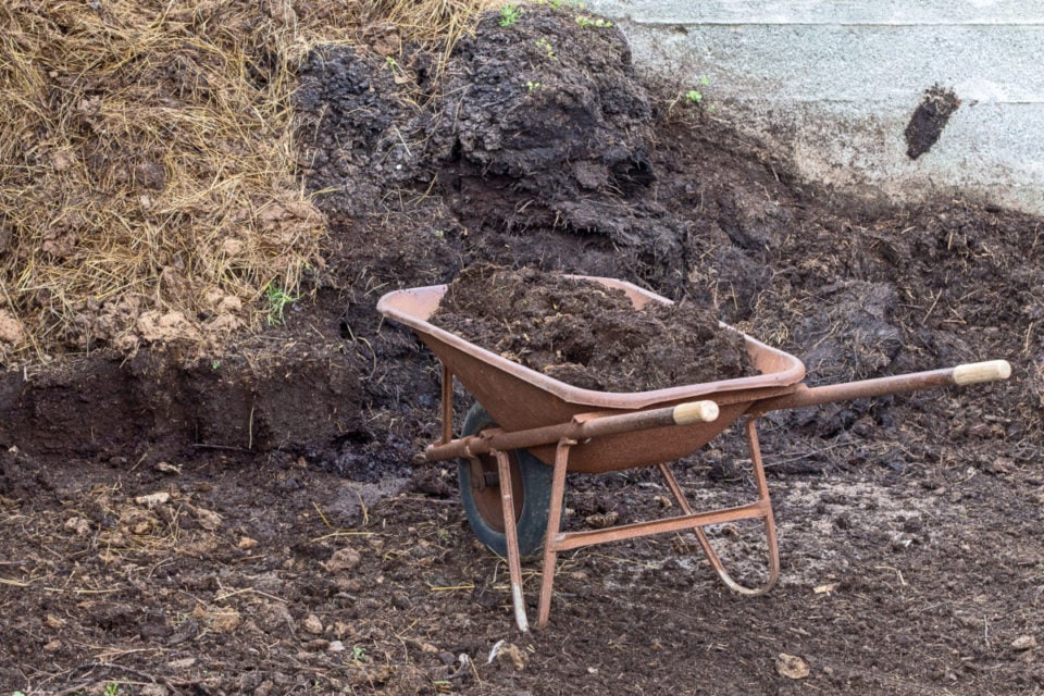 7 Ways to Rejuvenate & Replenish Raised Beds