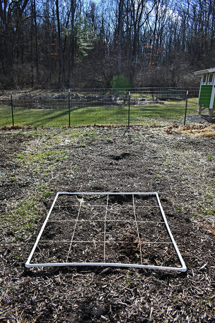 Make This Easy $15 Planting Grid in Under 30 Minutes