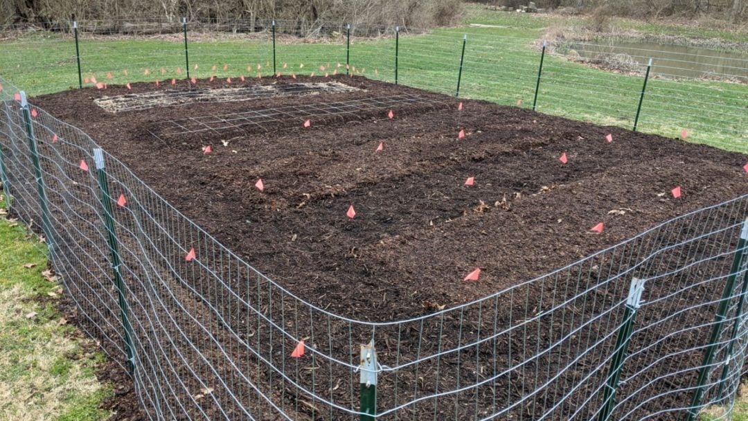 12 Things to Ask About Last Year Before You Plan Your Garden