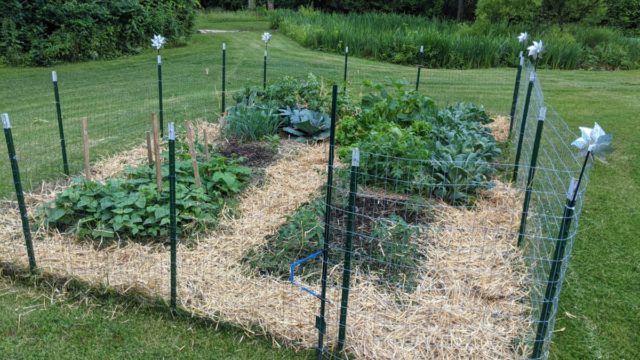 12 Things to Ask About Last Year Before You Plan Your Garden