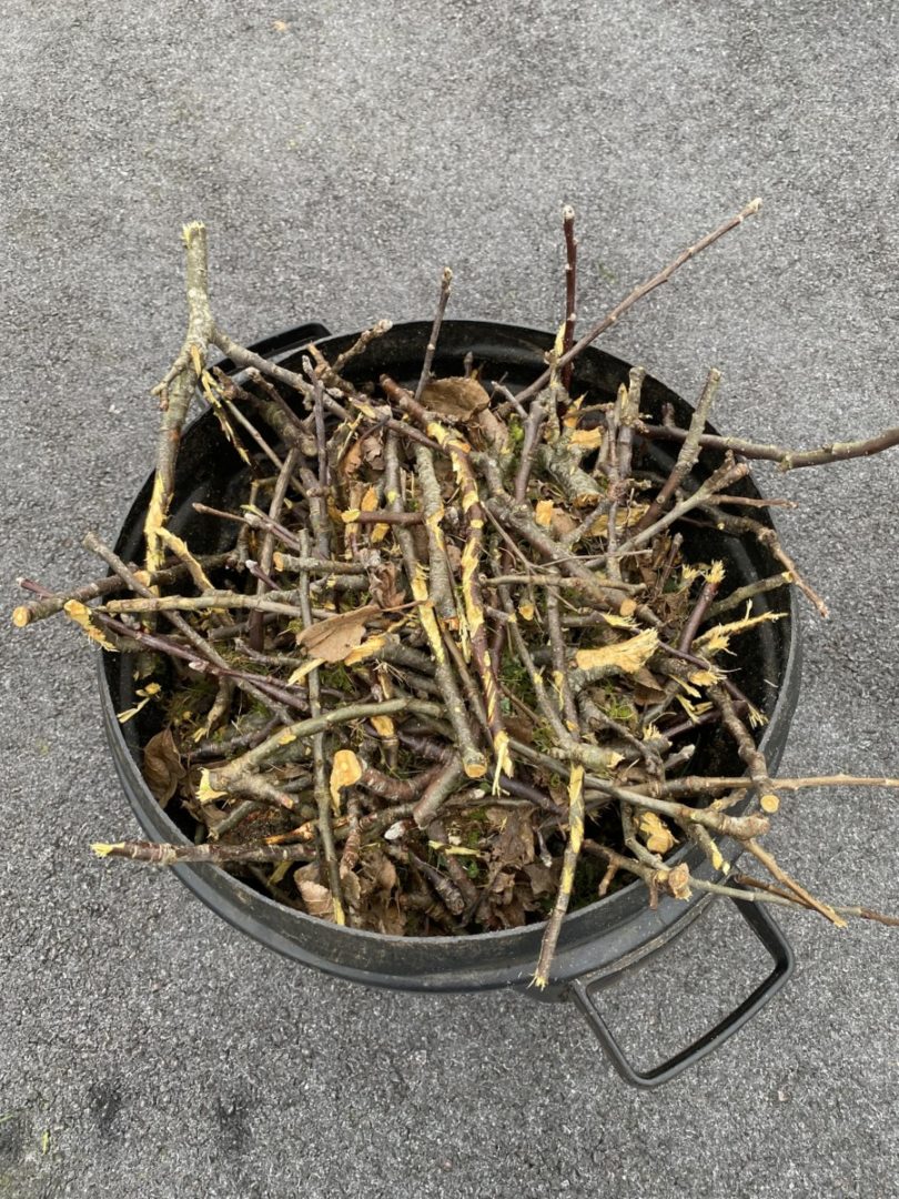7 Uses for Fruit Tree Trimmings You Probably Never Considered