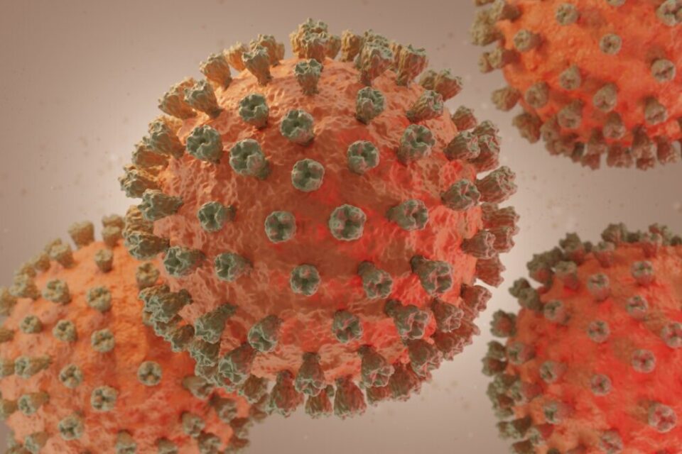 Avian Influenza – What Backyard Chicken Owners Need to Know About Bird Flu