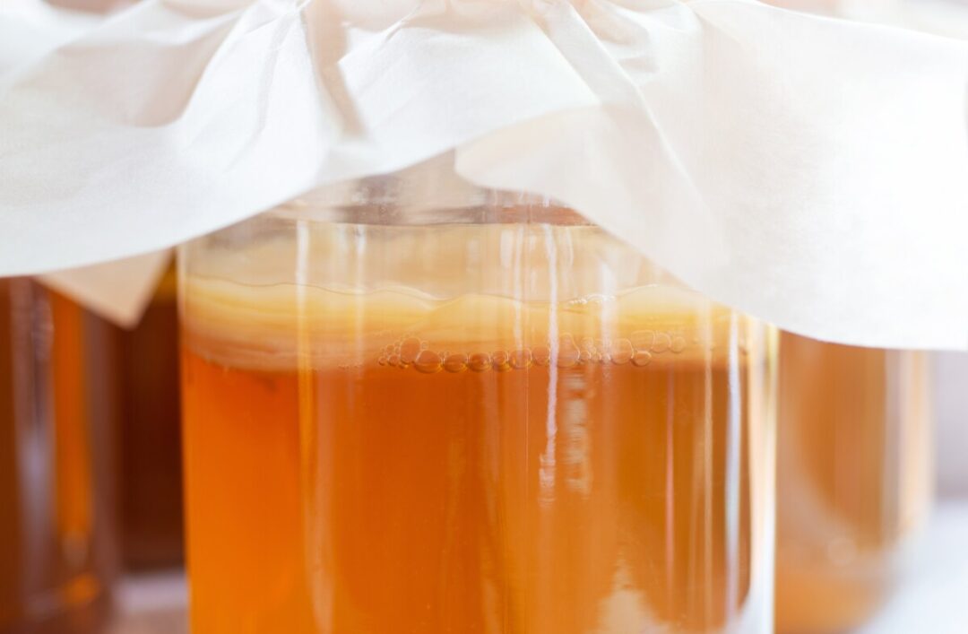 Learn to Make Kombucha - It's Easy