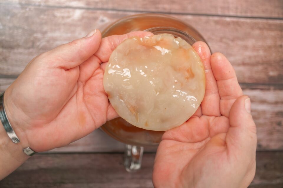 Learn to Make Kombucha - It's Easy
