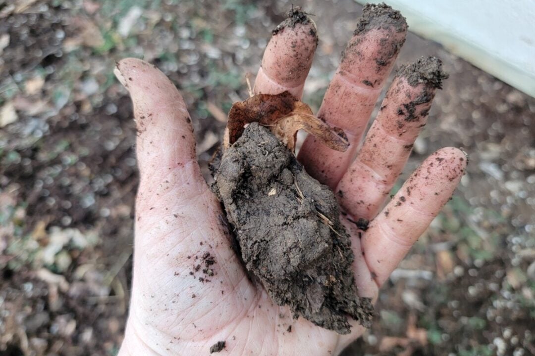 3 Easy Soil Tests You Can Do At Home