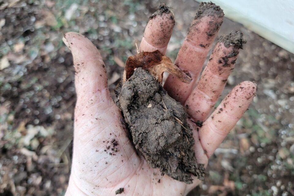 3 Easy Soil Tests You Can Do At Home