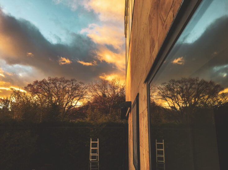 How To Stop Birds Flying Into Your Windows