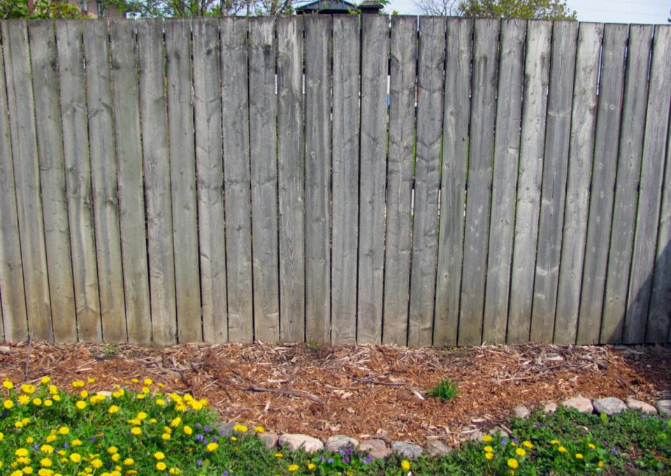 How to Build a Simple Lattice Trellis for Climbing Plants
