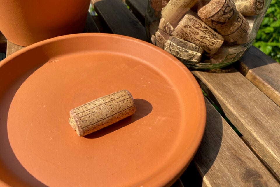 How to Make an Olla for Effortless Garden Irrigation
