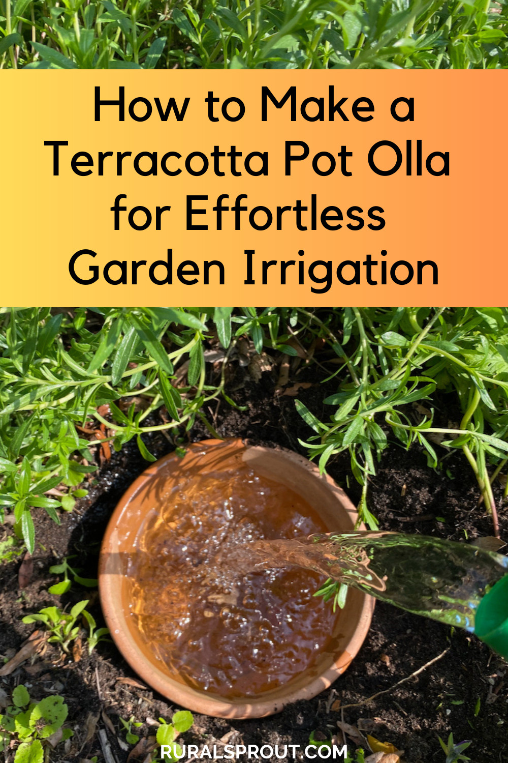 How to Make an Olla for Effortless Garden Irrigation