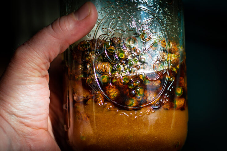 Pine Cone Syrup – Make This Pricey Gourmet Topping for Pennies