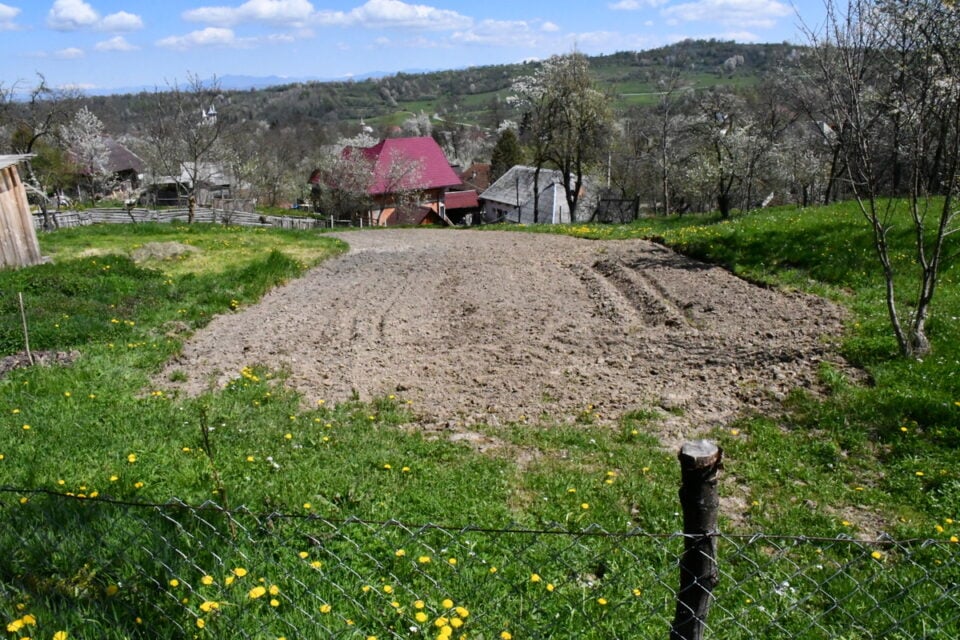 8 Spring Jobs For Every No Dig Gardener