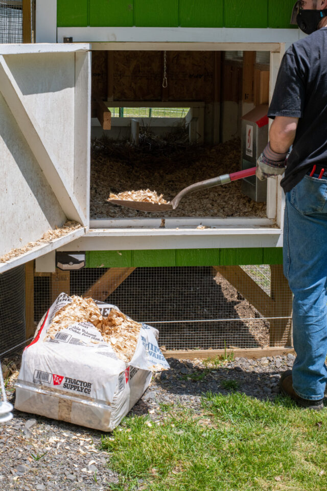 How to Use The Deep Litter Method In Your Chicken Coop