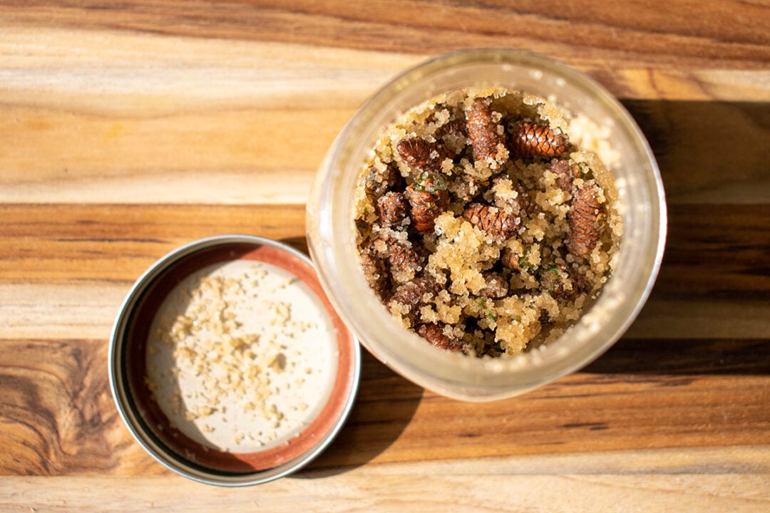 Pine Cone Syrup – Make This Pricey Gourmet Topping for Pennies