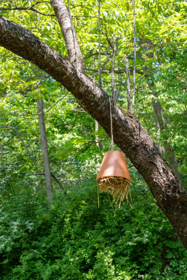 6 Brilliant Alternative Uses for Terracotta Pots Around the Garden