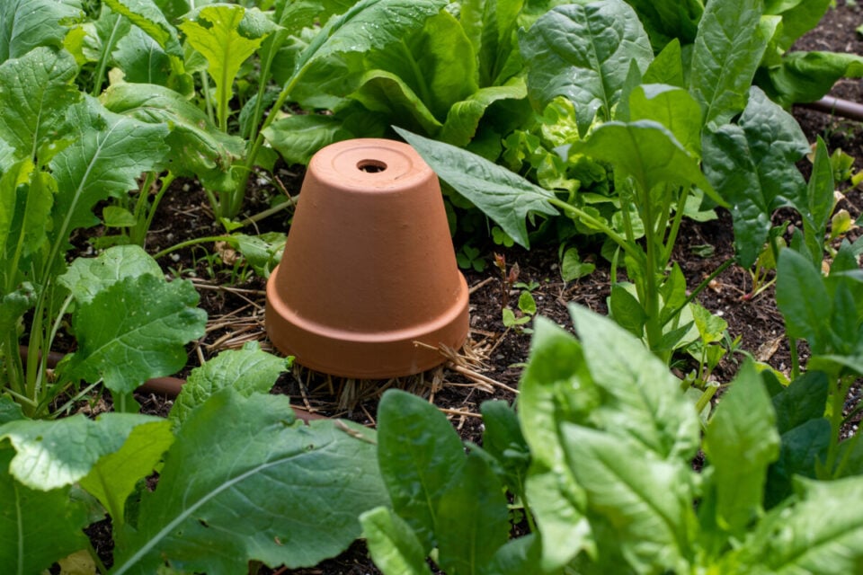 6 Brilliant Alternative Uses for Terracotta Pots Around the Garden
