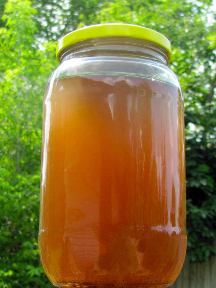 How to Brew Aerated Compost Tea (& 5 Reasons Why You Should)