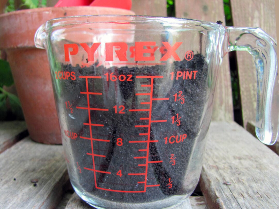 How to Brew Aerated Compost Tea (& 5 Reasons Why You Should)