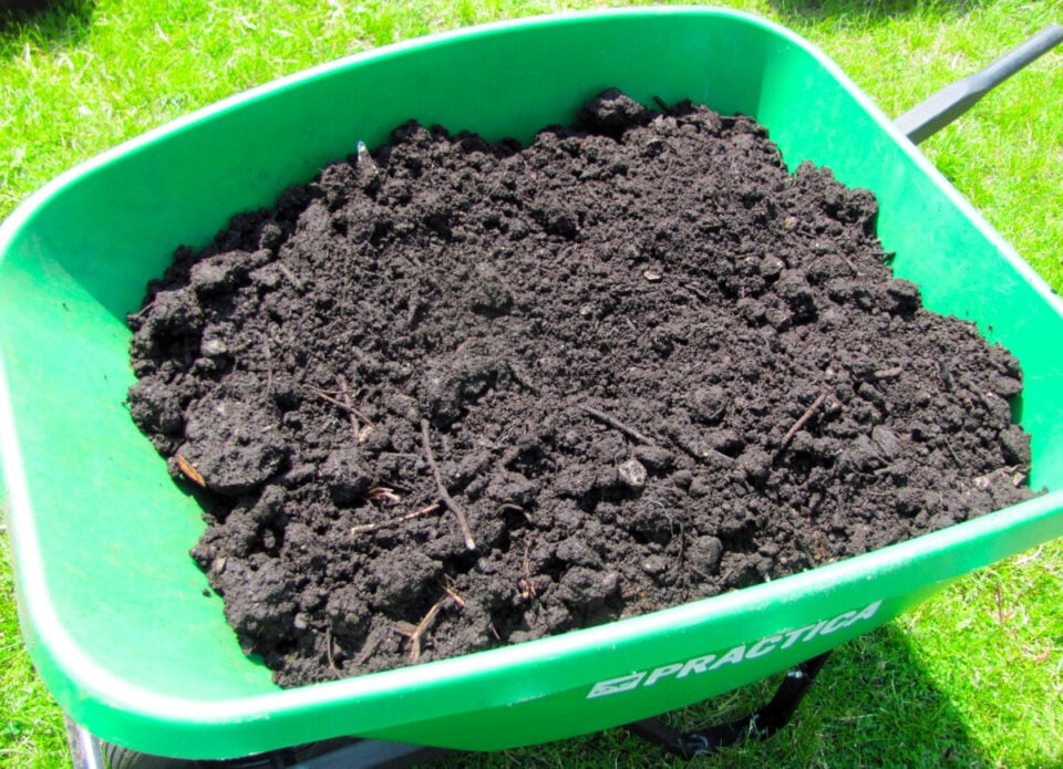 How to Start a New Vegetable Garden on Lawn - No Digging Required