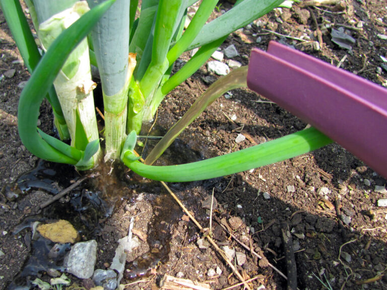 How to Brew Aerated Compost Tea (& 5 Reasons Why You Should)