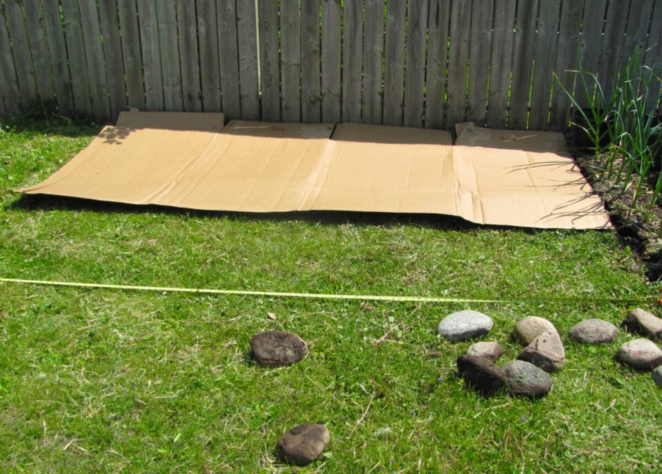 How to Start a New Vegetable Garden on Lawn - No Digging Required