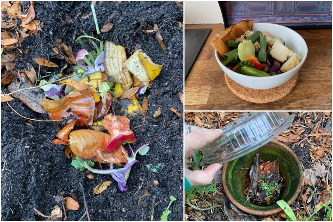 5 Methods to Compost-in-Place - The Easiest Way to Compost Food Scraps