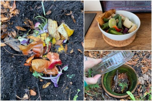 5 Methods to Compost-in-Place - The Easiest Way to Compost Food Scraps