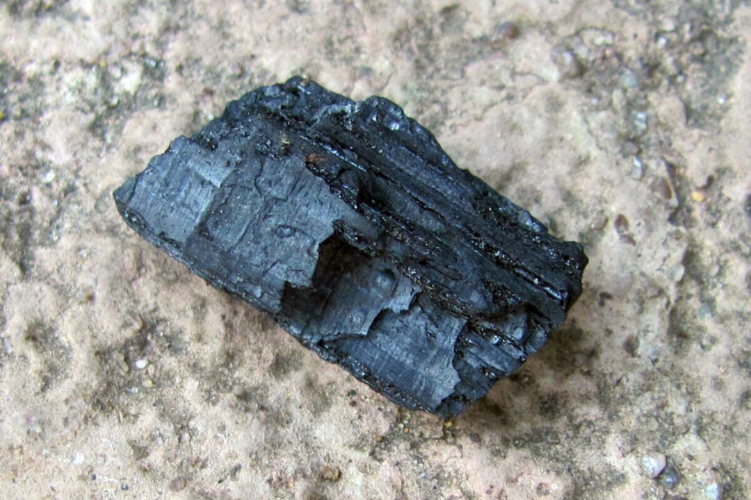 How to Make Biochar - the Soil Amendment That Lasts Forever