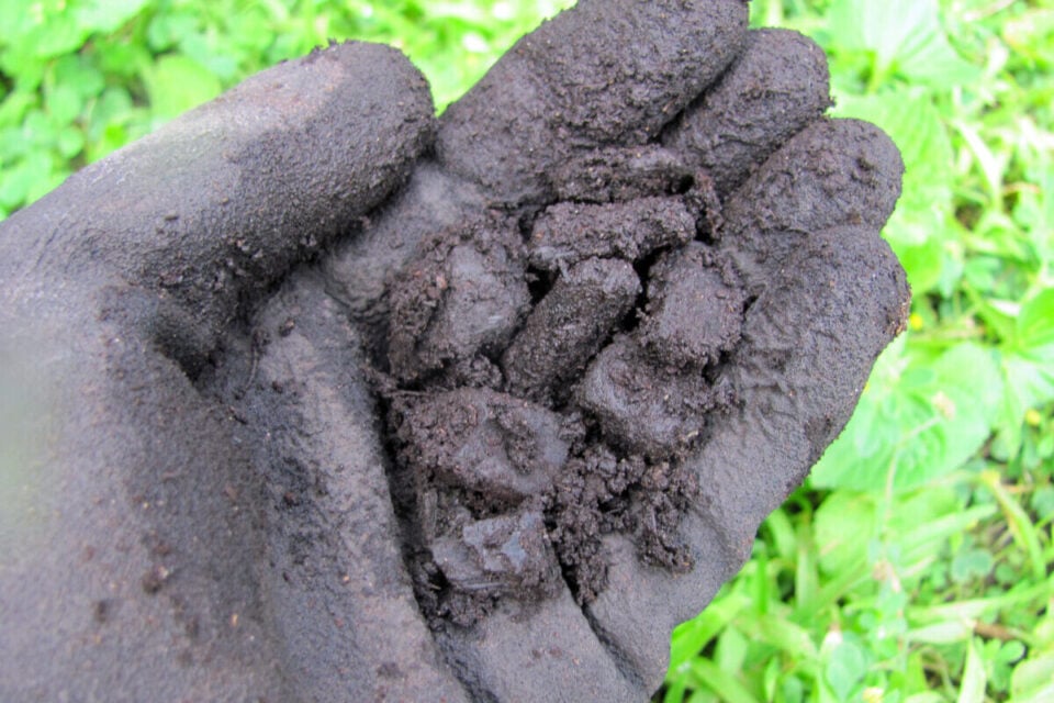 How to Make Biochar - the Soil Amendment That Lasts Forever