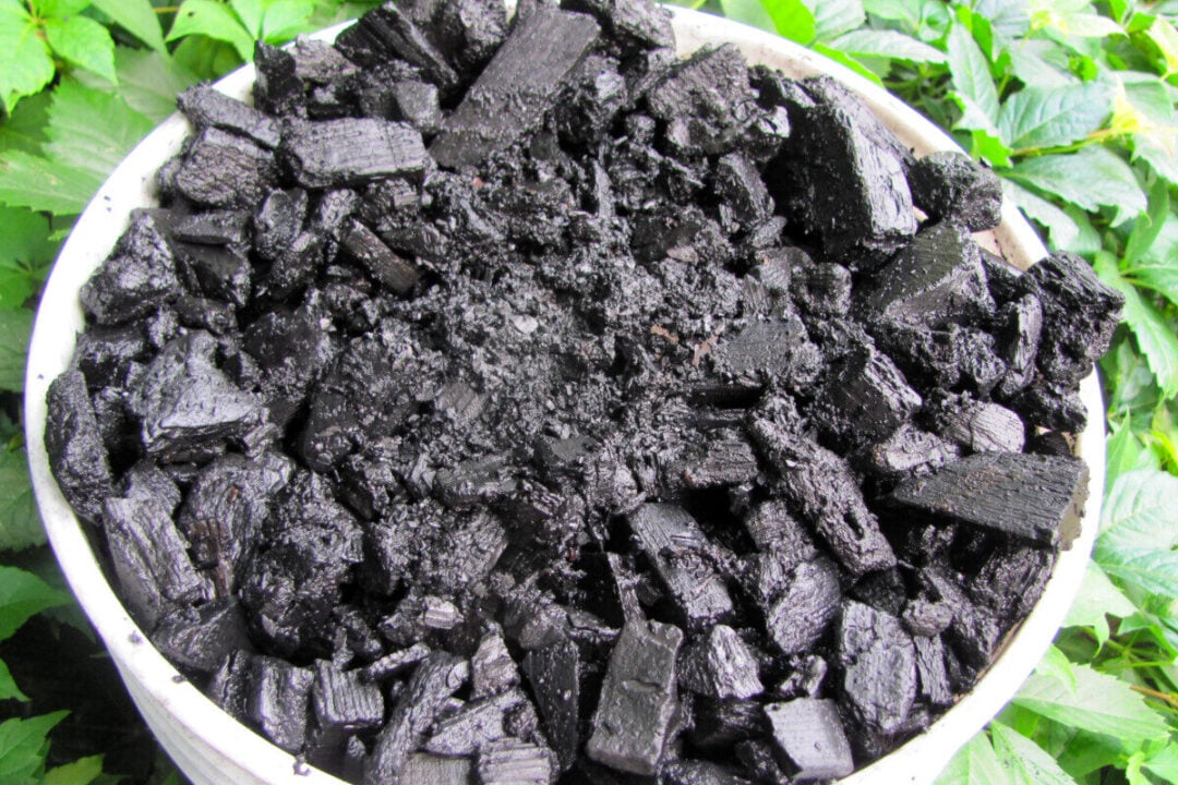 How to Make Biochar - the Soil Amendment That Lasts Forever