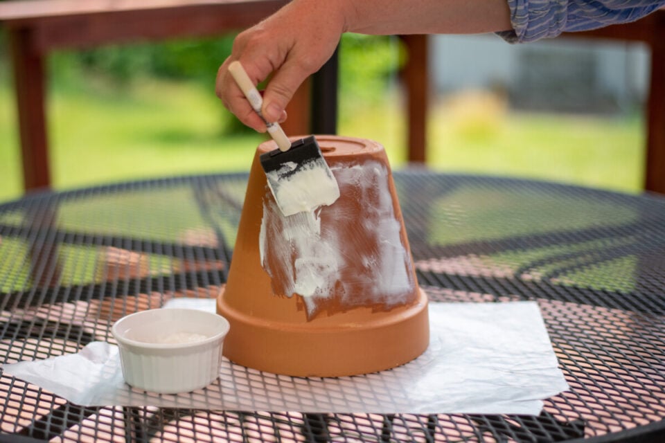 The Best Way To Age Terracotta Pots (& What Doesn't Work)