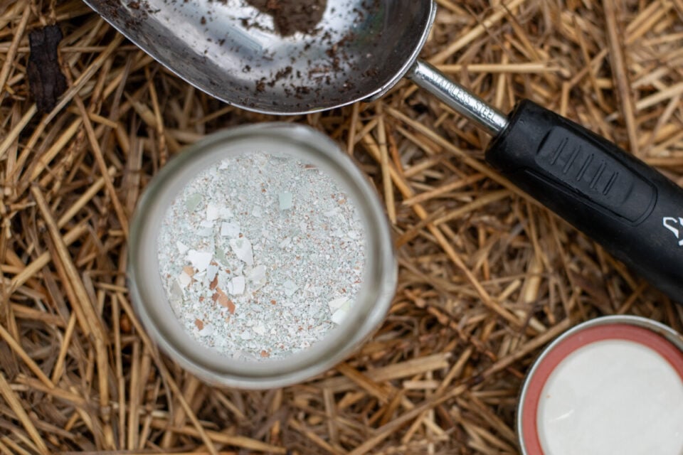 6 Eggshell Uses in the Garden + 4 Eggshell Gardening Myths