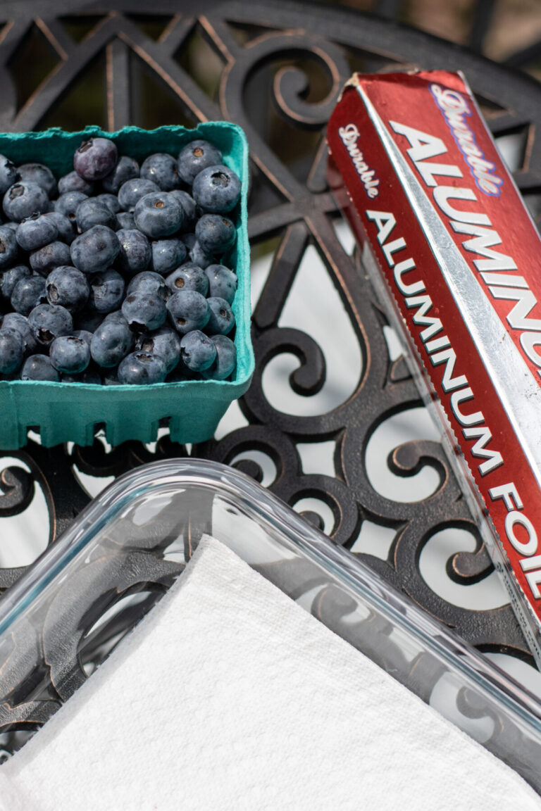 How to Store Blueberries So They Stay Plump and Juicy For Longer