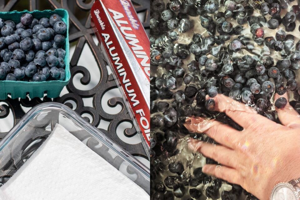 How to Store Blueberries So They Stay Plump and Juicy For Longer