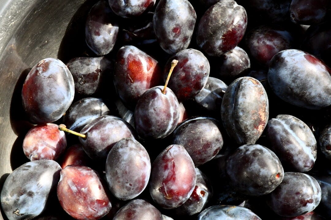 Easy Spiced Pickled Plums