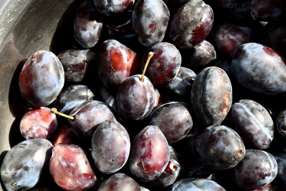 Easy Spiced Pickled Plums