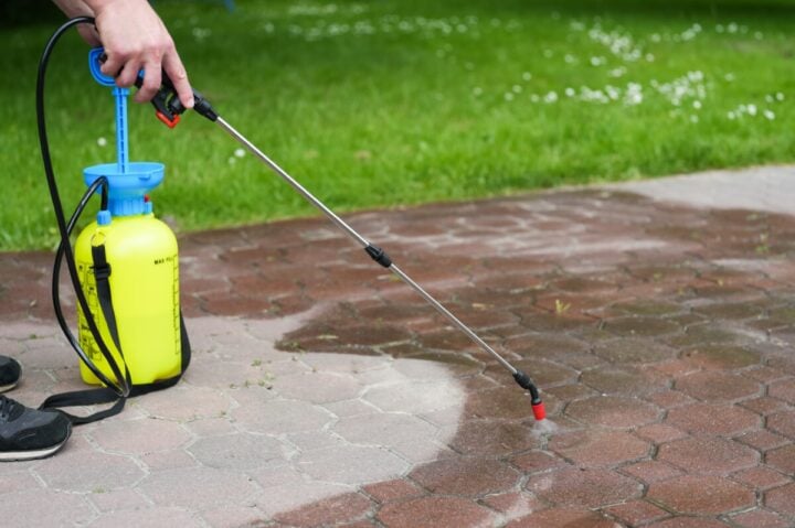 Using Salt As Weed Killer & What You Really Need To Know