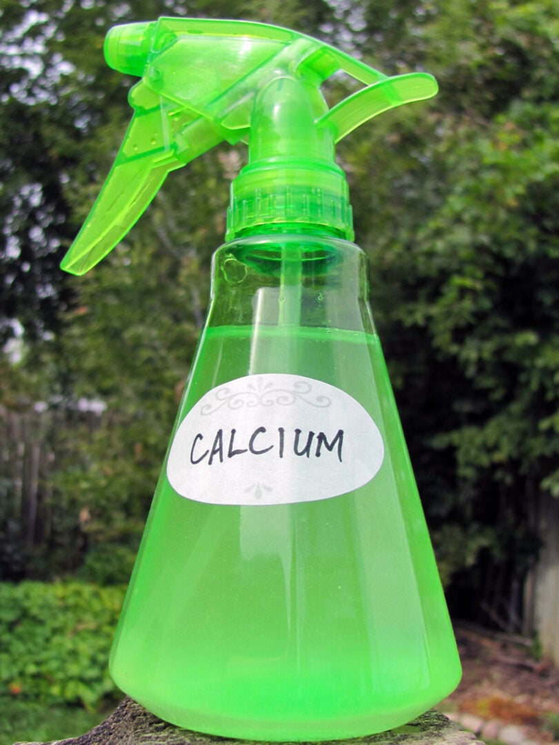 How to Make Liquid Eggshell Calcium Fertilizer