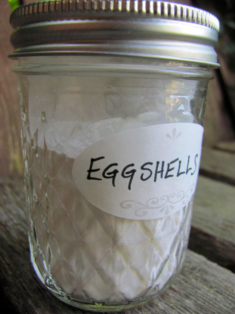 How to Make Liquid Eggshell Calcium Fertilizer