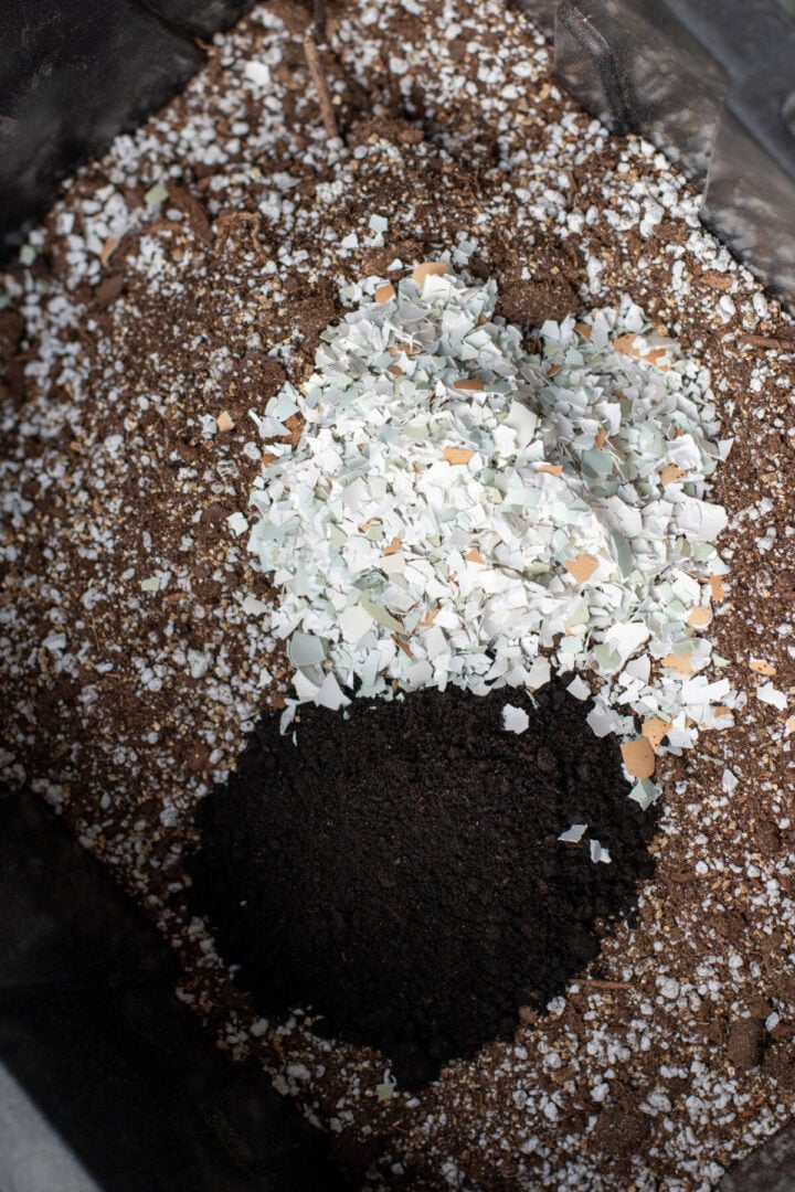 How & When to Repot African Violets & My Perfect Soil Mix