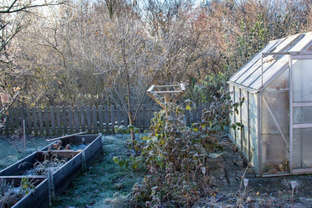 10 Fall Garden Mistakes You’ll Seriously Regret Next Spring