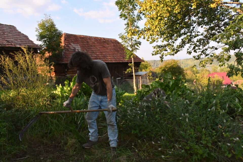9 Fall Jobs In Your No-Dig Garden - Planting, Harvesting, Mulching & More