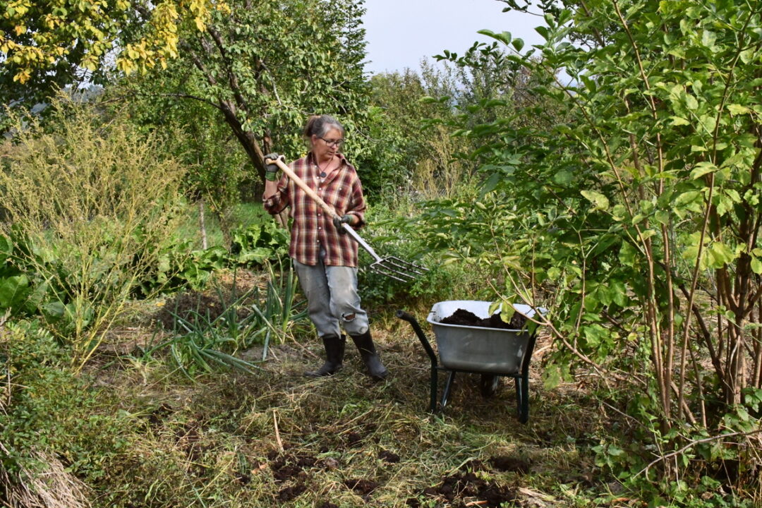 9 Fall Jobs In Your No-Dig Garden - Planting, Harvesting, Mulching & More
