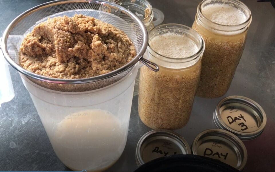 How I Ferment Chicken Feed for Healthy Hens & Savings