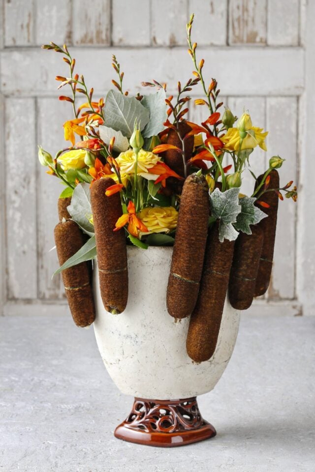 15 Reasons To Forage For Cattail All Year Round