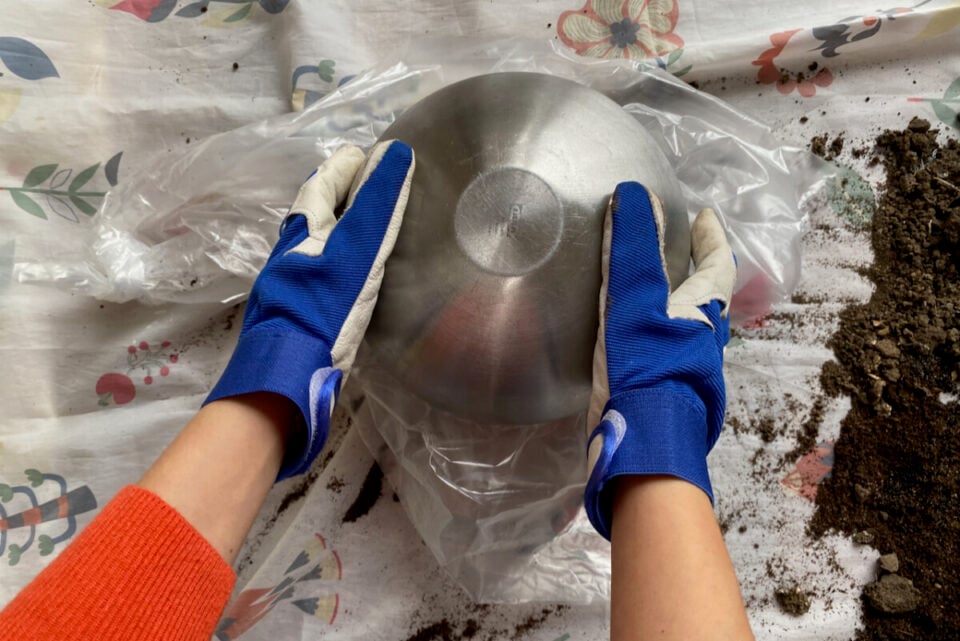 My Favorite Tips for Painless Cactus Repotting